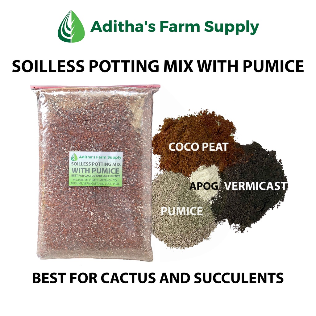 AFS Soilless Potting Mix with PUMICE for Cactus and Succulents ...