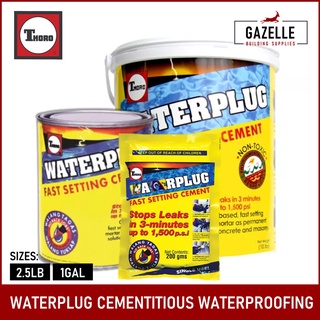 Waterplug Fast Setting Cement Cementitious Waterpoofing 1 GAL GALLON ...