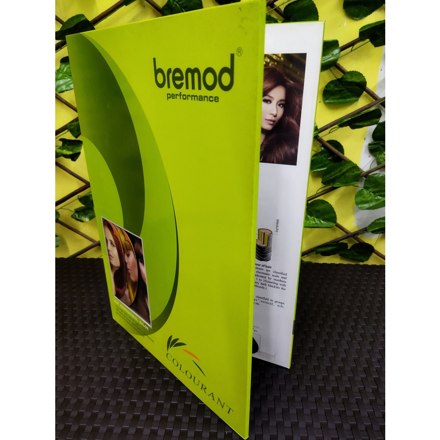 Bremod Colisi Hair Color Chart Updated and Complete Colors 2021 presyo ₱180