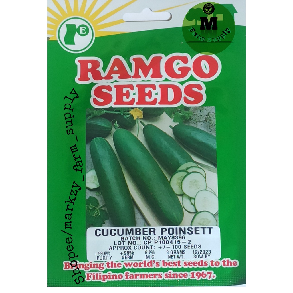 Ramgo Seeds Cucumber Poinsett (Pipino) Original and High Quality ...