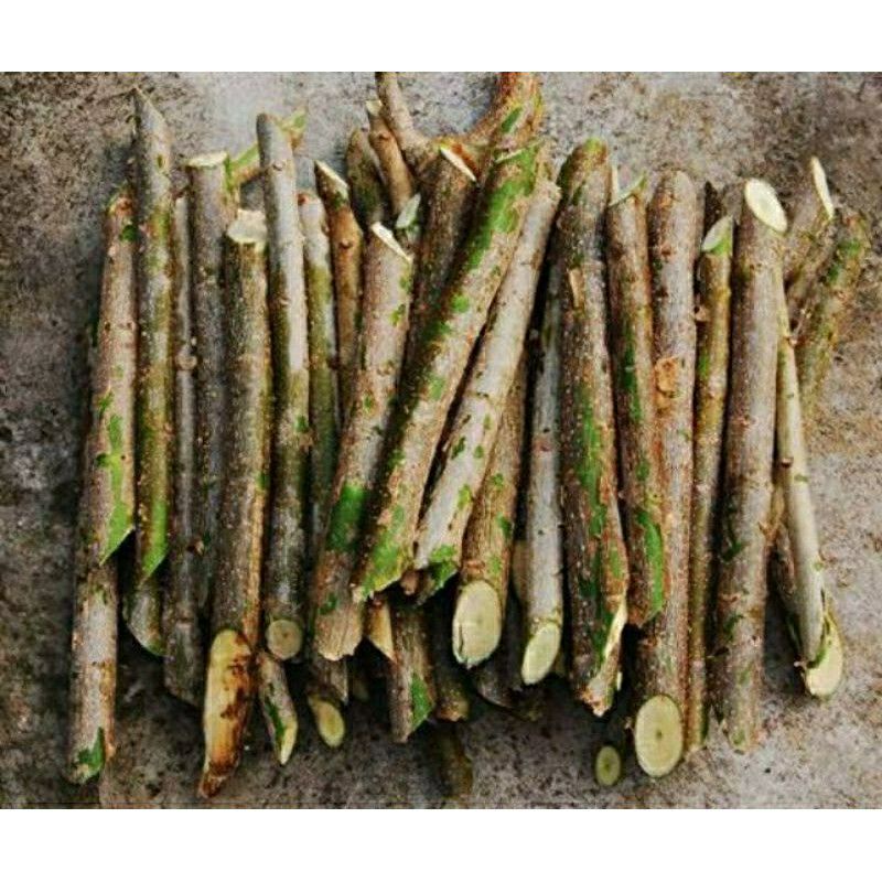 bubong at hardin, Online Shop | Shopee Philippines