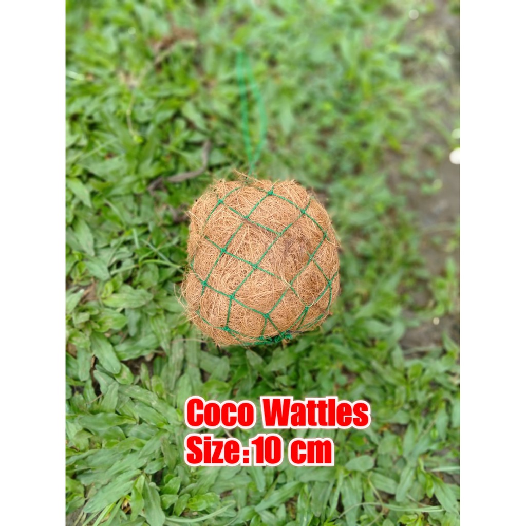 COCO WATTLES | 10cm Coco Wattles for your plants | Best for Orchids ...