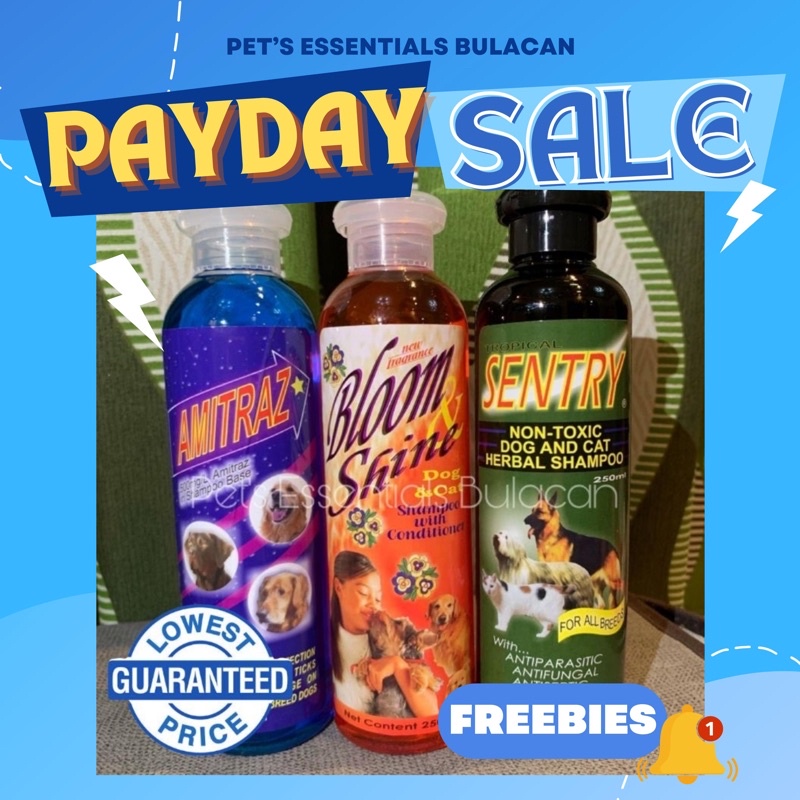 LORI Shampoo for Dogs (Sentry Herbal Shampoo, Bloom & Shine Shampoo ...