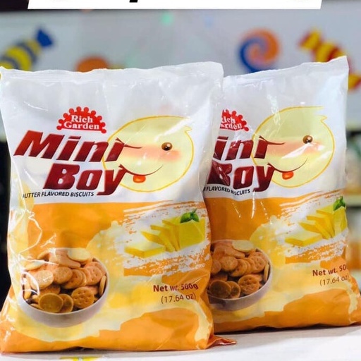 Rich Garden Mini Boy Biscuit 500G | Shopee Philippines