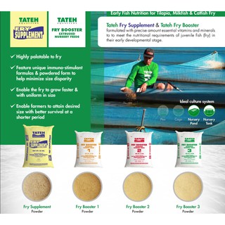 Tateh Premium Fry Booster Fry Mash Hatchery Powder Feeds 3 Tilapia ...