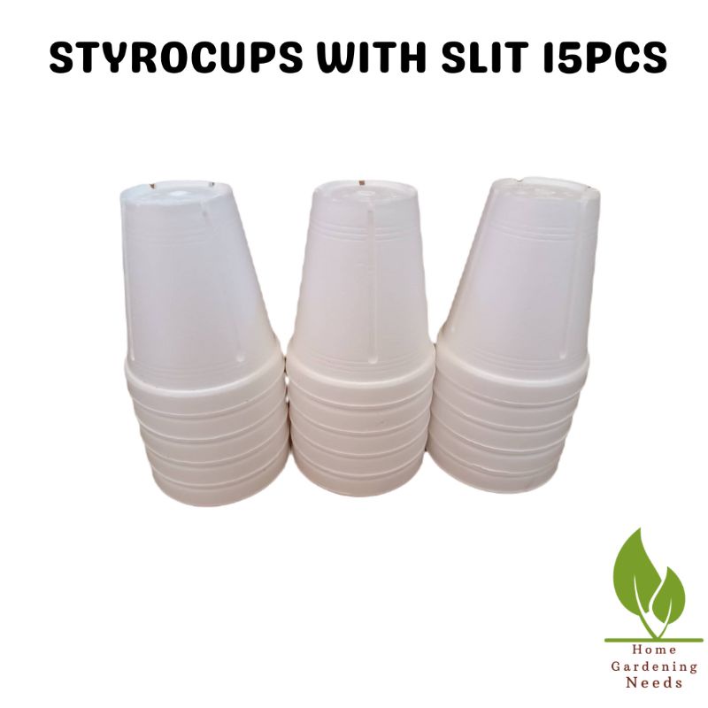 Sytro Cups with Slit for Hydroponics - 15pcs | Shopee Philippines