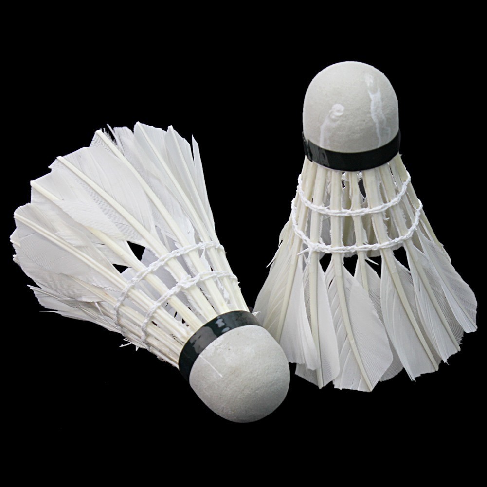 Badminton Shuttlecocks Ball Game | Shopee Philippines