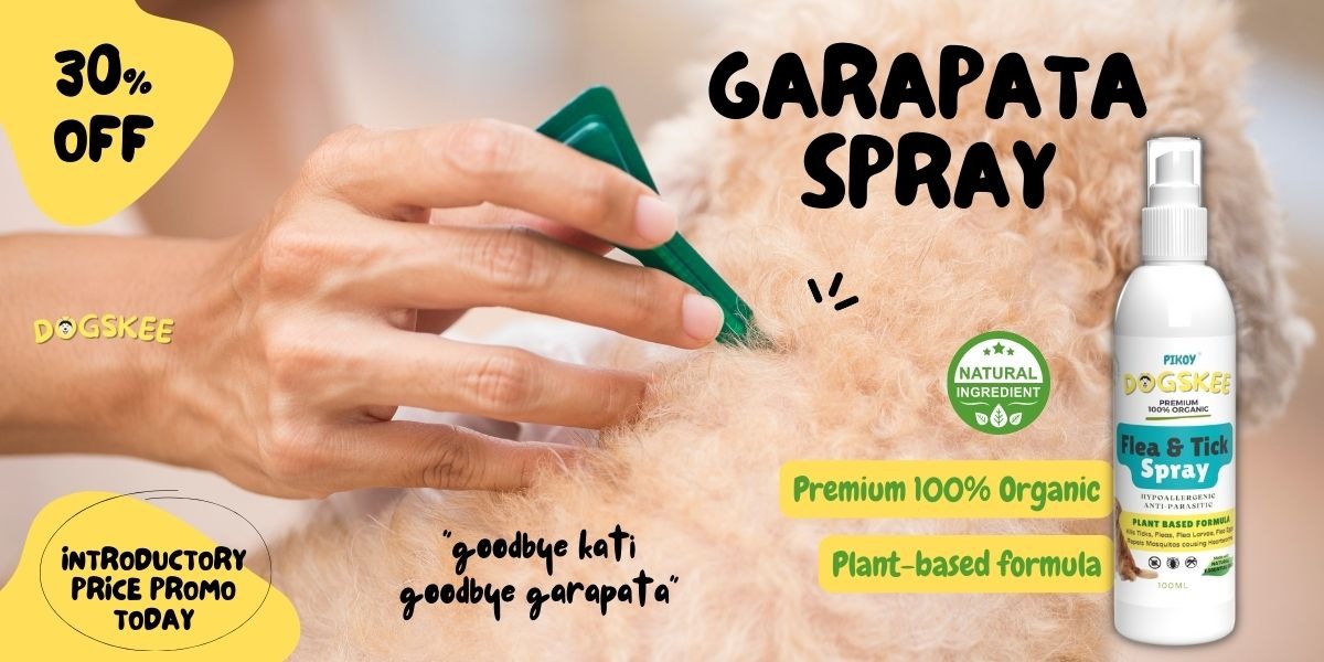 PIKOY by Munting Ibunan, Online Shop | Shopee Philippines