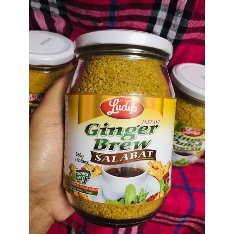 LUDYS GINGER BREW SALABAT 360g | Shopee Philippines