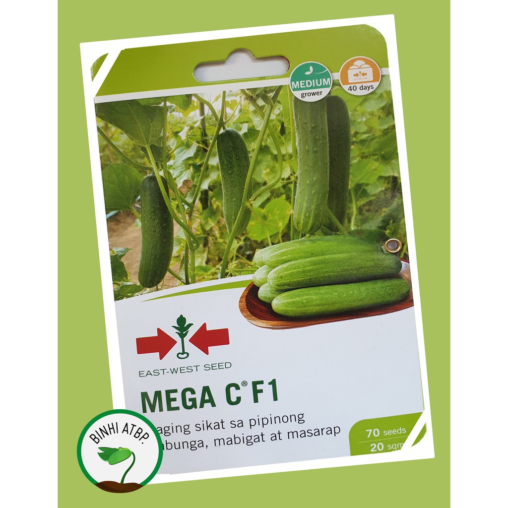 East-west Mega C F1 Cucumber (Pipino) Seeds (1 Pack - 70 Seeds) | Shopee Philippines