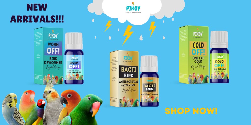 PIKOY by Munting Ibunan, Online Shop | Shopee Philippines