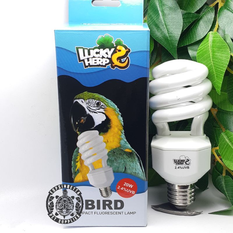 Uva Uvb Light Bulbs For Birds | Shelly Lighting