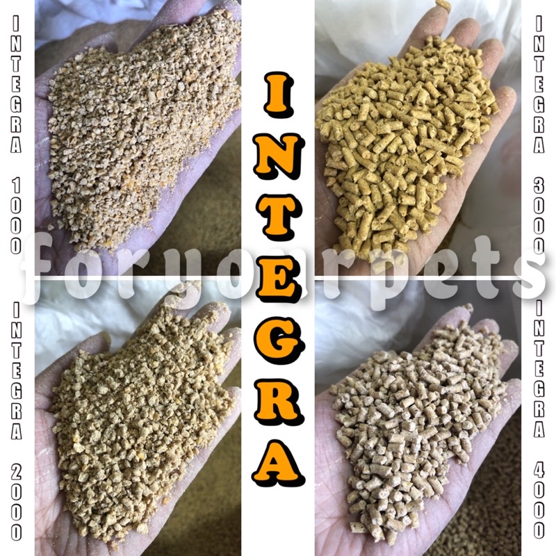 B-MEG Integra with Immuno-Boosters (1000, 2000, 3000, 4000) REPACKED ...