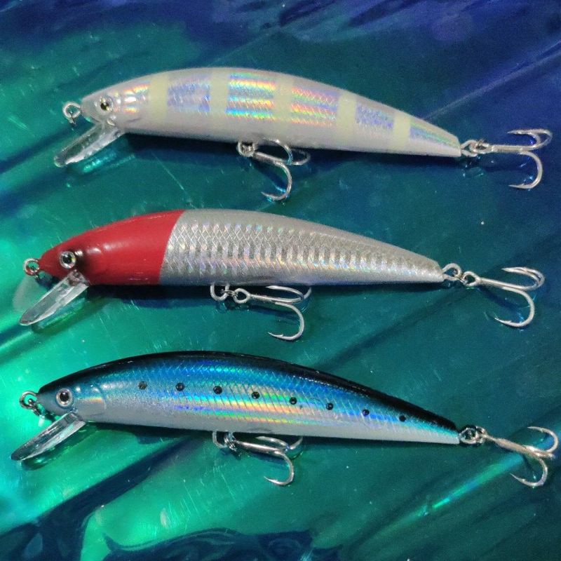 Budget Sinking Minnow / Sinking Minnow(12cm/39g) | Shopee Philippines