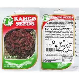 Ramgo Seeds Price Per Pack Per Variety - Lettuce Pechay Onion Kang Kong ...