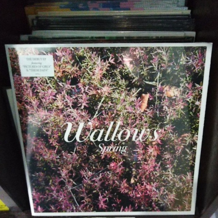 WALLOWS Spring EP Pink/Green Vinyl | Shopee Philippines