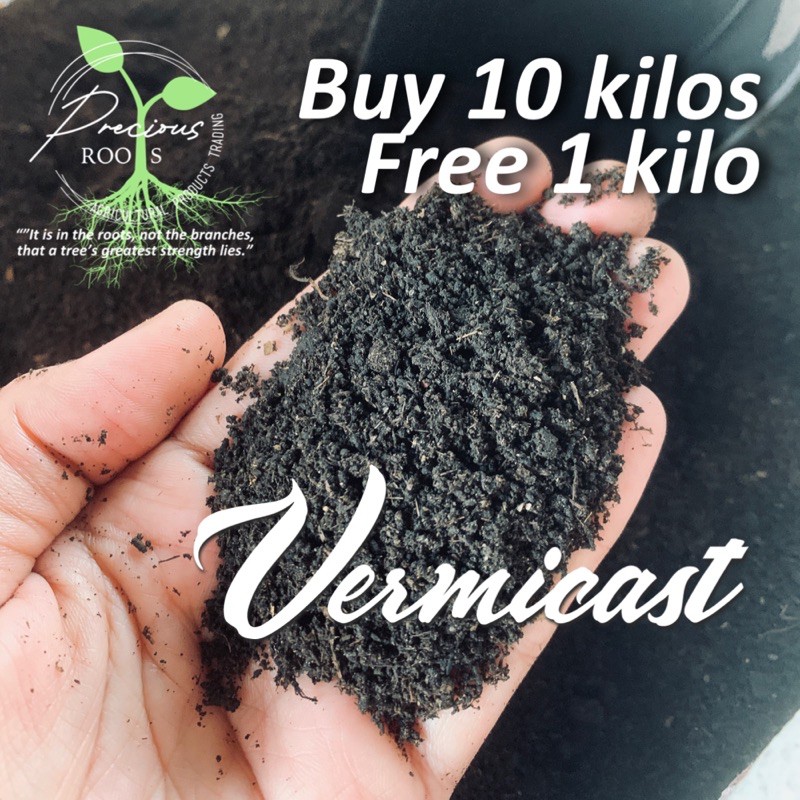 10kilos + 1 kilo Free Vermicast Soil less Medium High Percentage for ...