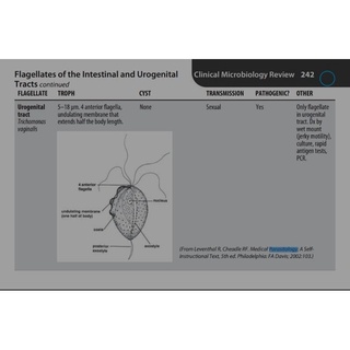 RMT Medicine MedTech Polansky Quick Review Cards for Medical Laboratory ...