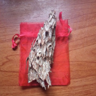 bahay ng alitoptop pinag bahayan ( blessed And ritualized) | Shopee ...