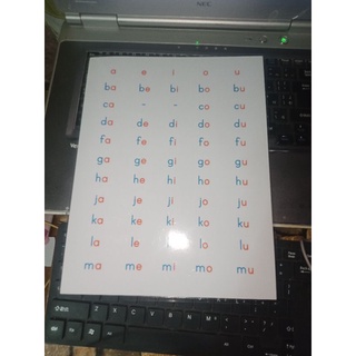 CV Blends Reading LAMINATED Chart for Kids Reading Materials Montessori ...