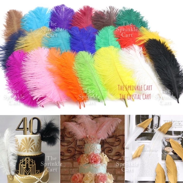 goose feather - Best Prices and Online Promos - Dec 2022 | Shopee ...