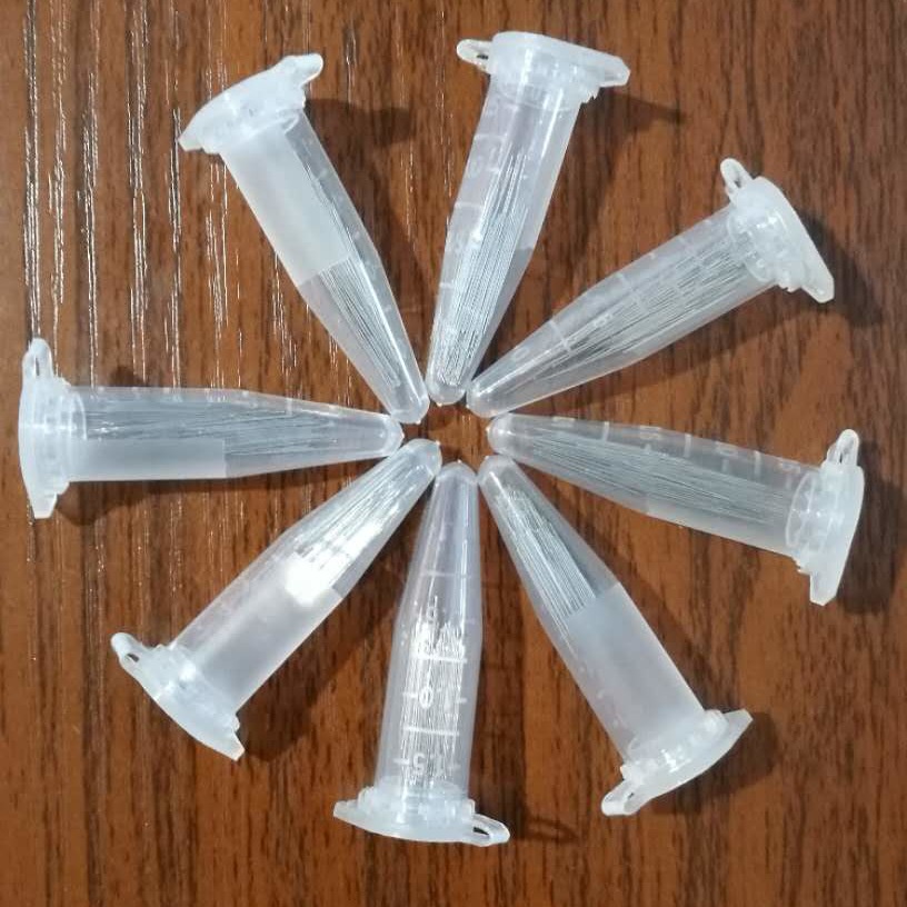 Supply Stainless Steel Microneedle Double Needle Short Insect Specimen ...