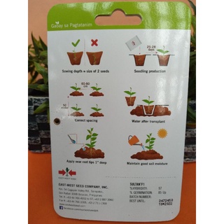 Sultan F1 Pepper East-West Seed (100 Seeds) | Shopee Philippines