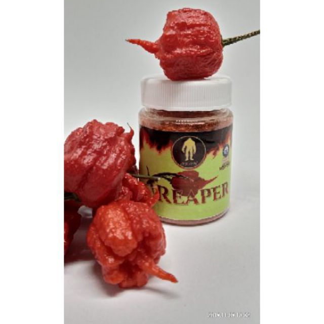 Carolina Reaper Pepper Powder (Insanely Hot) | Shopee Philippines
