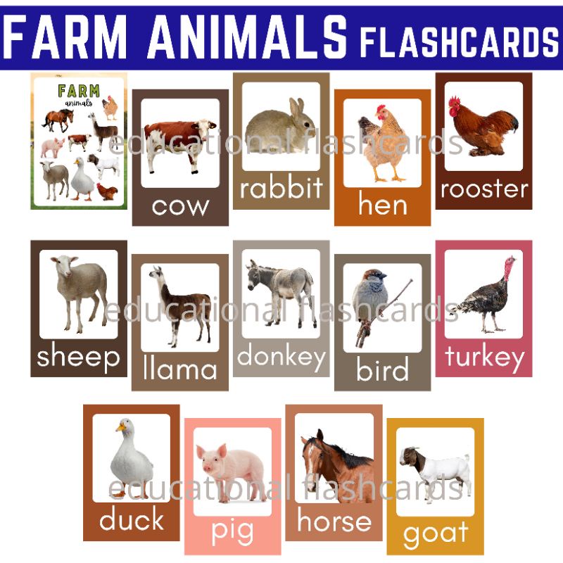 FARM ANIMALS FLASHCARDS for kids, Laminated. Animals Charts are also ...