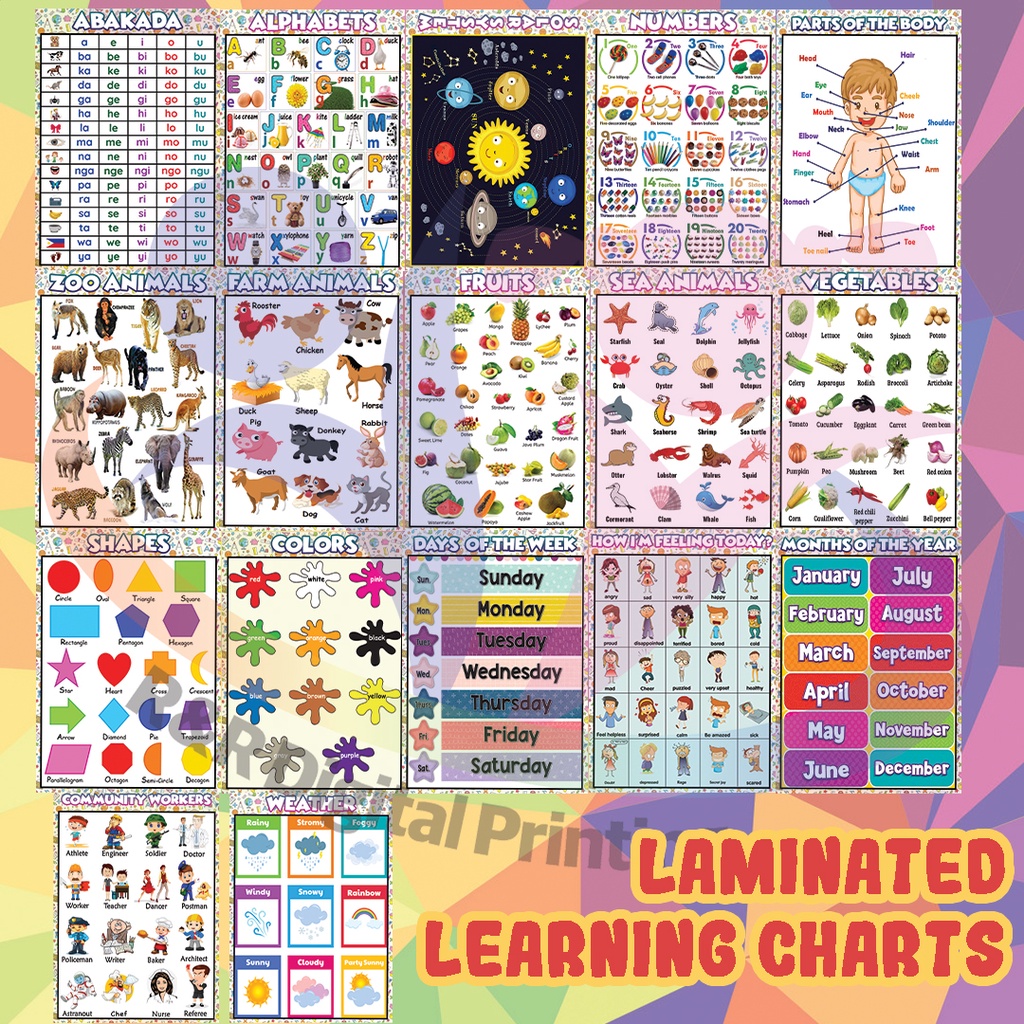 Laminated Learning Charts for Kids and Babies (Bundled) | Shopee ...