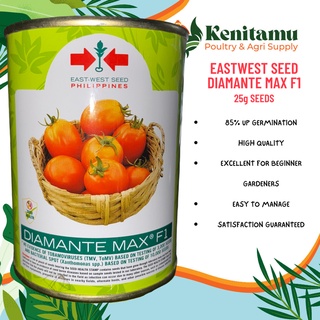 TOMATO DIAMANTE MAX F1 25g BY: EASTWEST SEED | Shopee Philippines