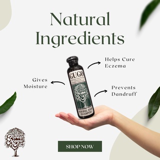 Forest Magic Gugo Herbal Hair Shampoo 250ml | Shopee Philippines