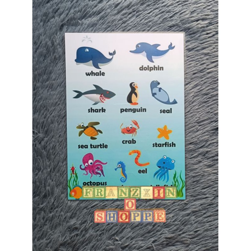 Sea Animals Laminated Chart A4 size | Shopee Philippines
