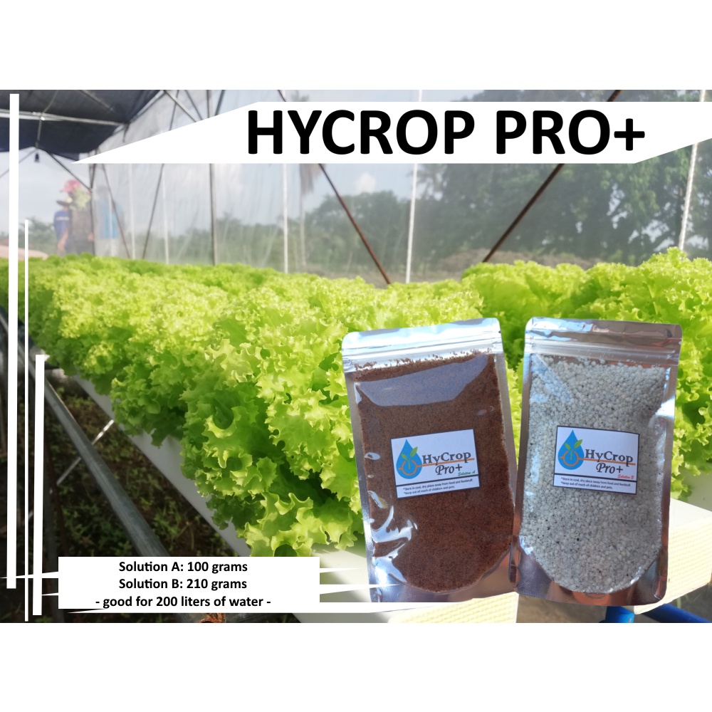 HyCrop Pro+ Nutrient Solution for Hydroponics (Premix Formula) | Shopee ...