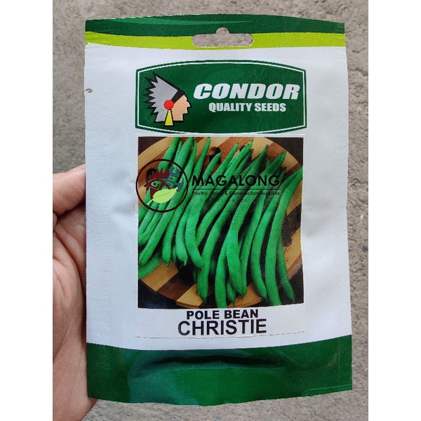 CONDOR SEEDS - POLE BEAN - CHRISTIE 10 GRAMS | Shopee Philippines
