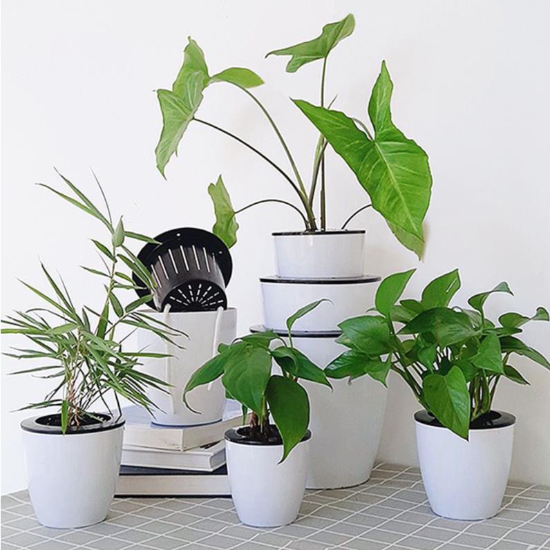 6 Size Automatic Watering Flower Plants Pot Modern Planter Decor Flower ...
