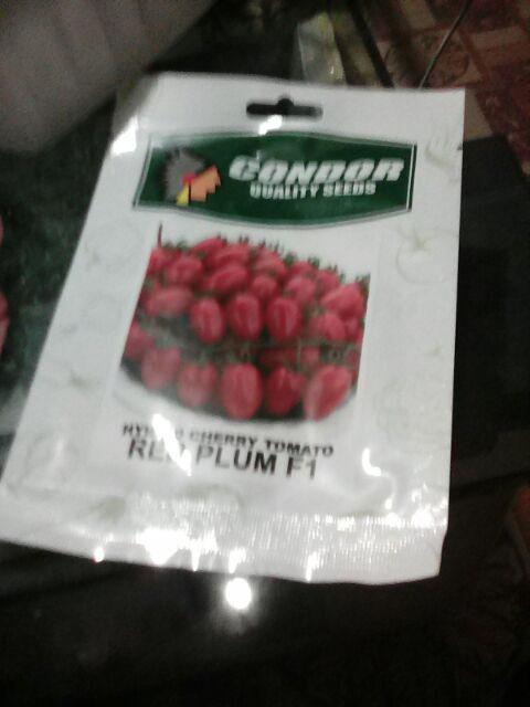 Condor Seeds: Cherry Tomato Varieties (Red Plum and Sweet Princess ...