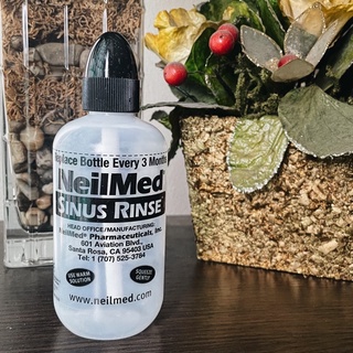 NeilMed Sinus Rinse Squeeze Bottle | Shopee Philippines