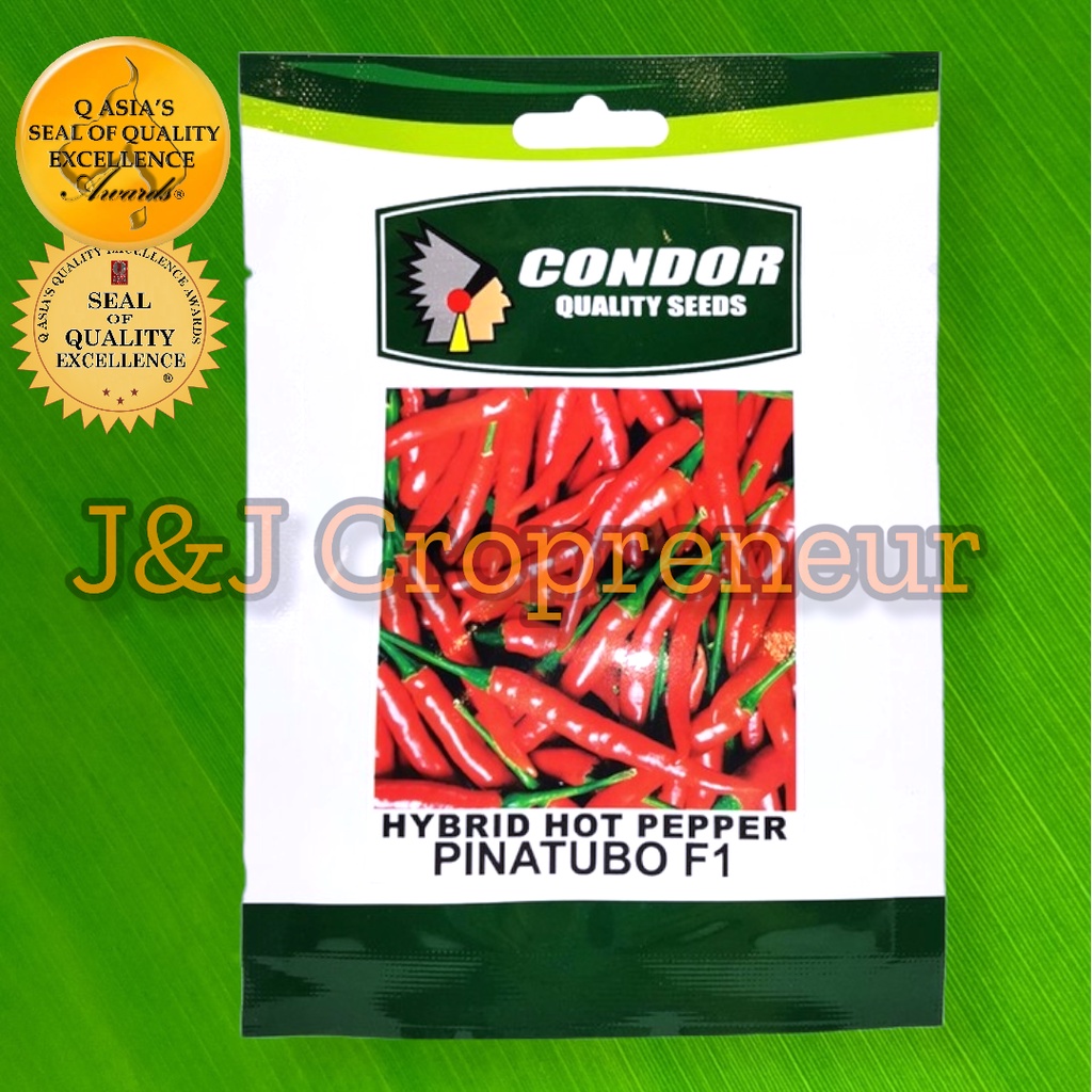 PINATUBO F1 HOT PEPPER LABUYO 0.5 GRAM (CONDOR) | Shopee Philippines