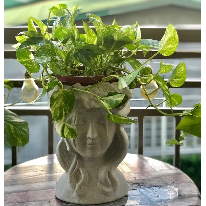 Lady pot (Fiber Stonecast)(MAXIMUM OF 4 PCS) | Shopee Philippines