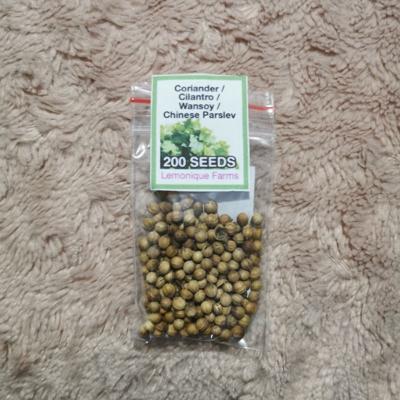 Coriander Cilantro Wansoy chinese parsley SEEDS | Shopee Philippines