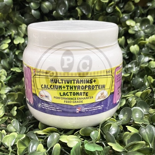 Lactomate Milk Enhancer for Dogs 100g | Shopee Philippines