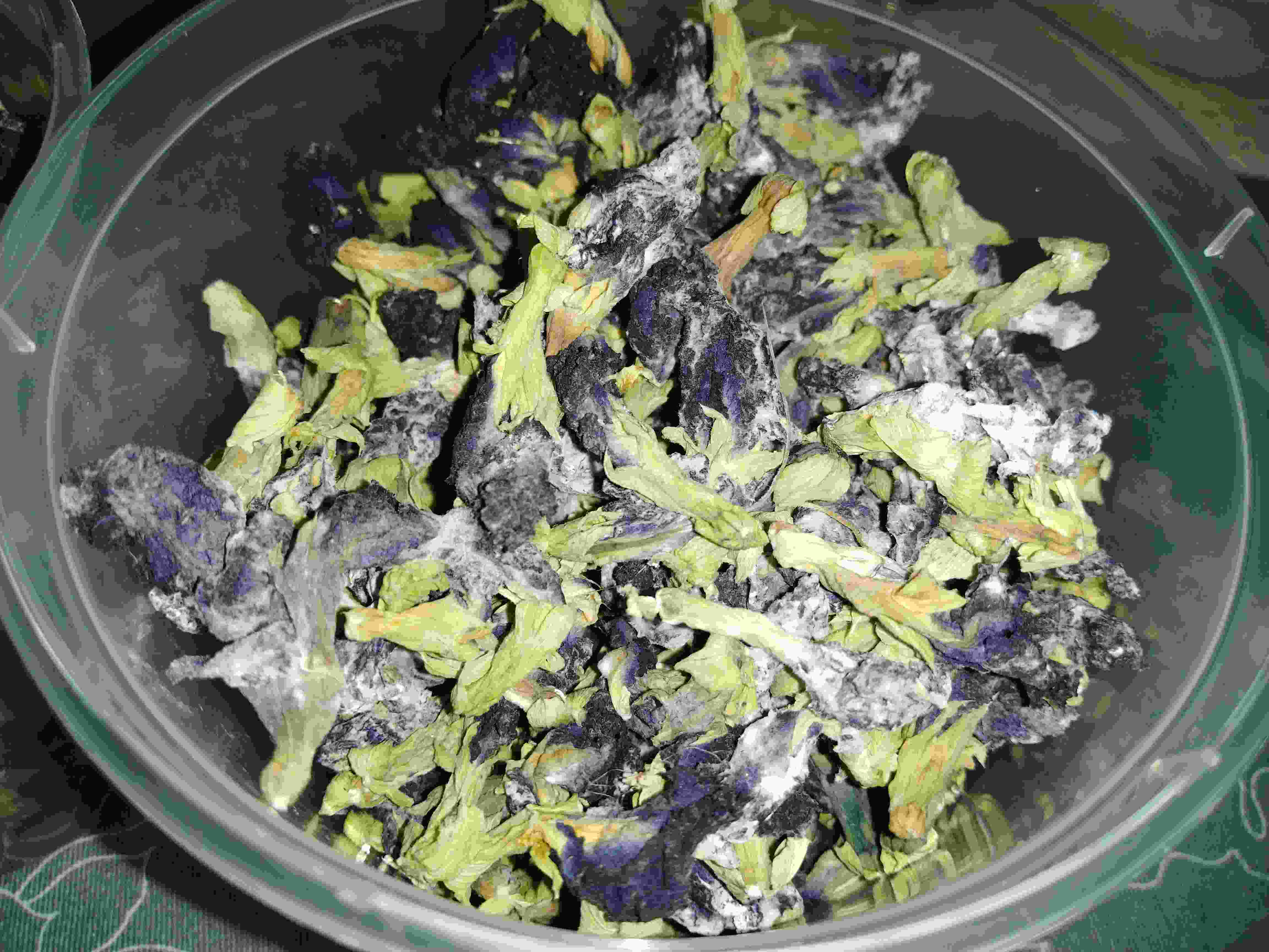 Organic Blue Ternate Dried 50g Butterfly Pea Dried / Clitoria Blue ...