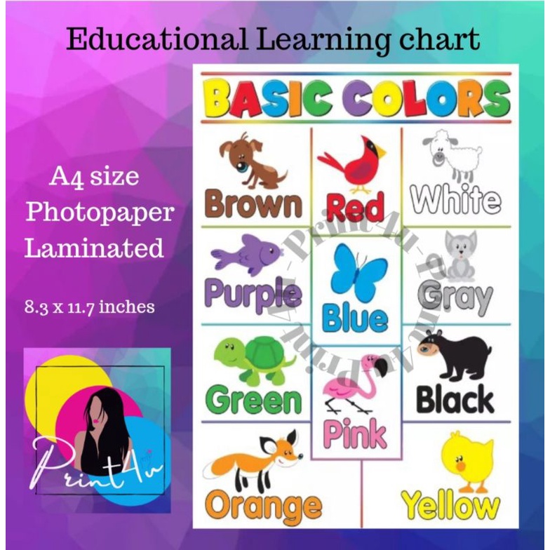Basic Color Learning chart Laminated educational materials | Shopee ...