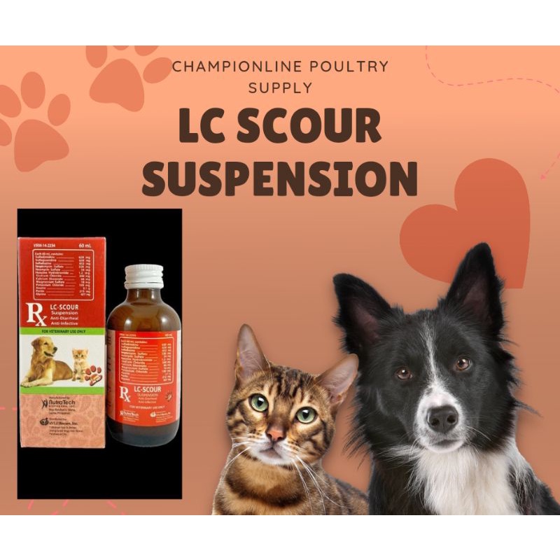 LC SCOUR SUSPENSION ANTI DIARRHEAL AND ANTI INFECTIVE FOR CATS AND DOGS ...