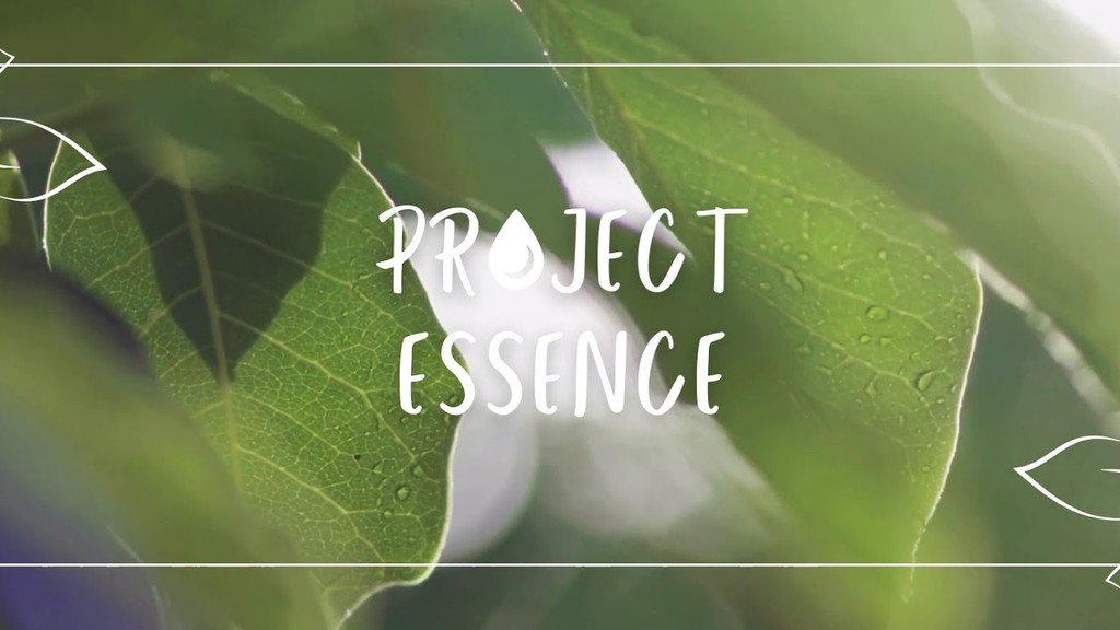 Project Essence, Online Shop | Shopee Philippines