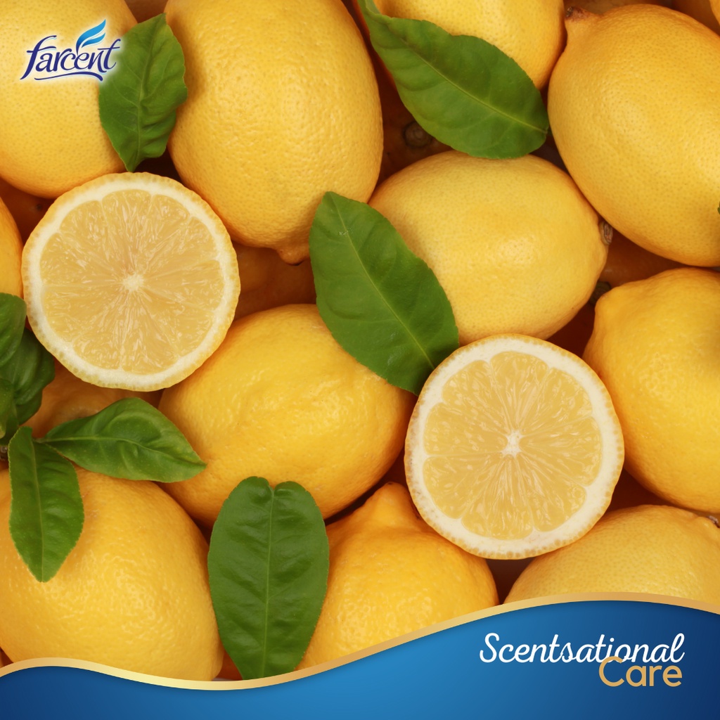 Farcent Liquid Deodorizer - Lemon Set of 2 (350ml each) | Shopee ...
