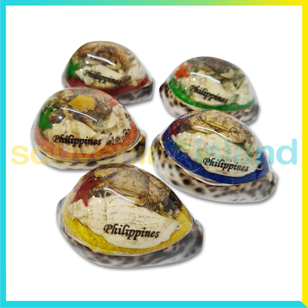 Laminated Sigay Shell Paperweight with real Crab and Starfish ...