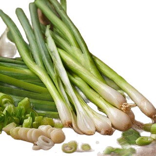 Spring Onion Seeds 6grams / Scallion / Bunching Onion Dahong Sibuyas ...