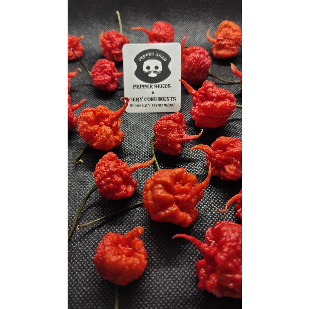 Carolina Reaper Seeds(world's hottest pepper) | Shopee Philippines
